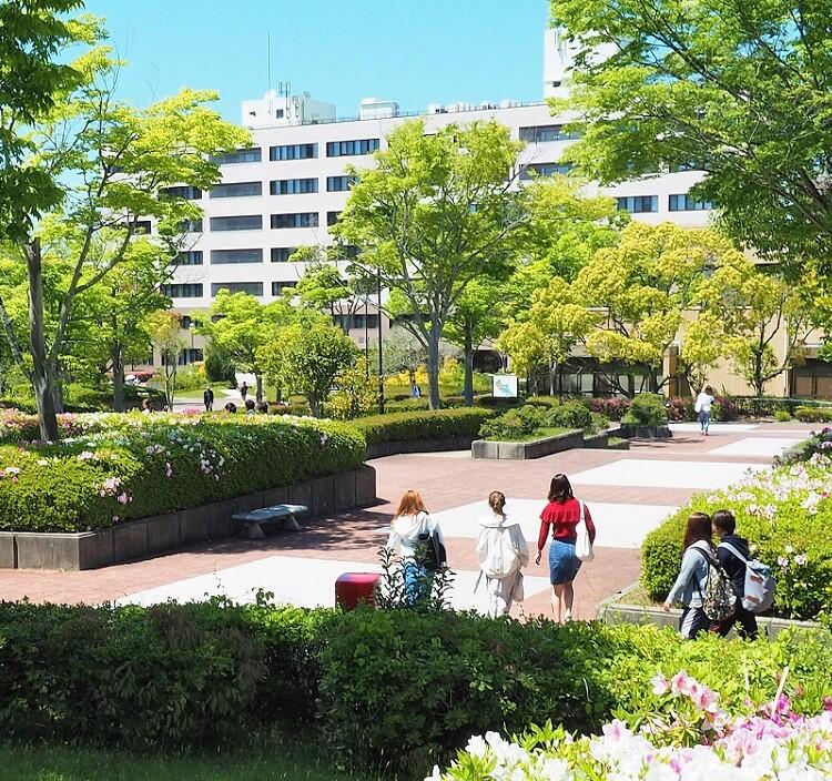 兵庫教育大学 Hyogo University of Teacher Education