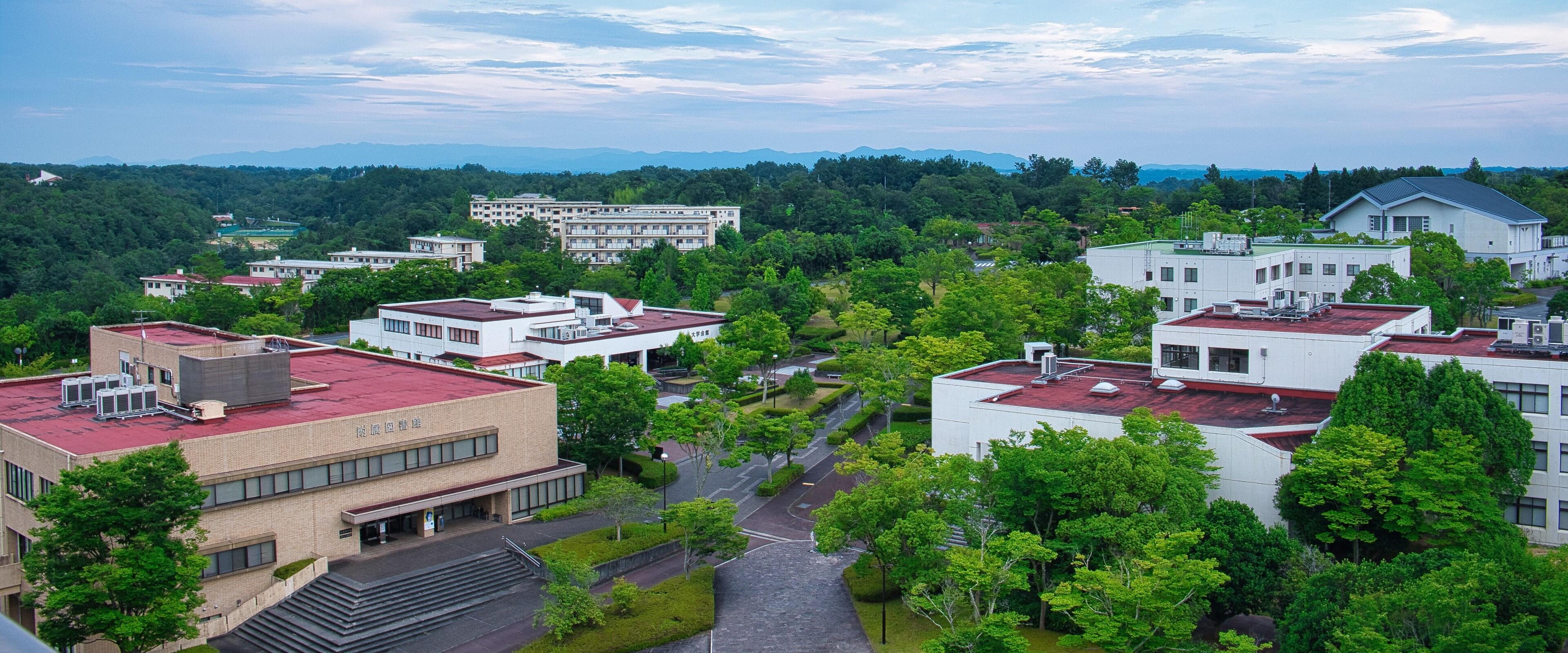 兵庫教育大学 Hyogo University of Teacher Education